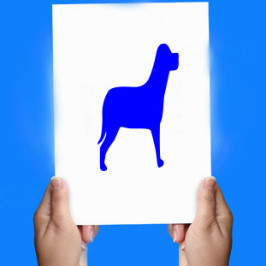 Saiz kertas | A0, A1, A2, A3, A4, A5, A6, A7, A8, A9, 10 Arkib ...